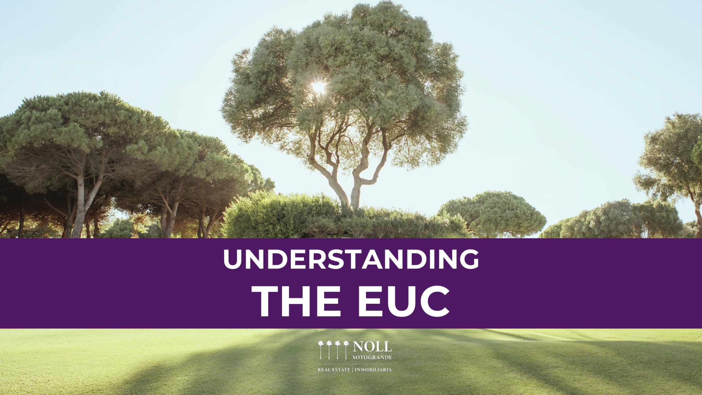 Understanding the EUC: The Backbone of Community Life in Sotogrande ...